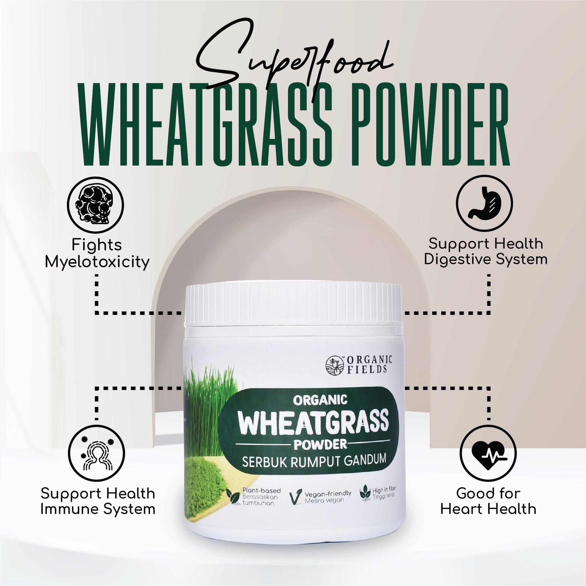 Organic Wheatgrass Powder 100gm – ORGANIC FIELDS